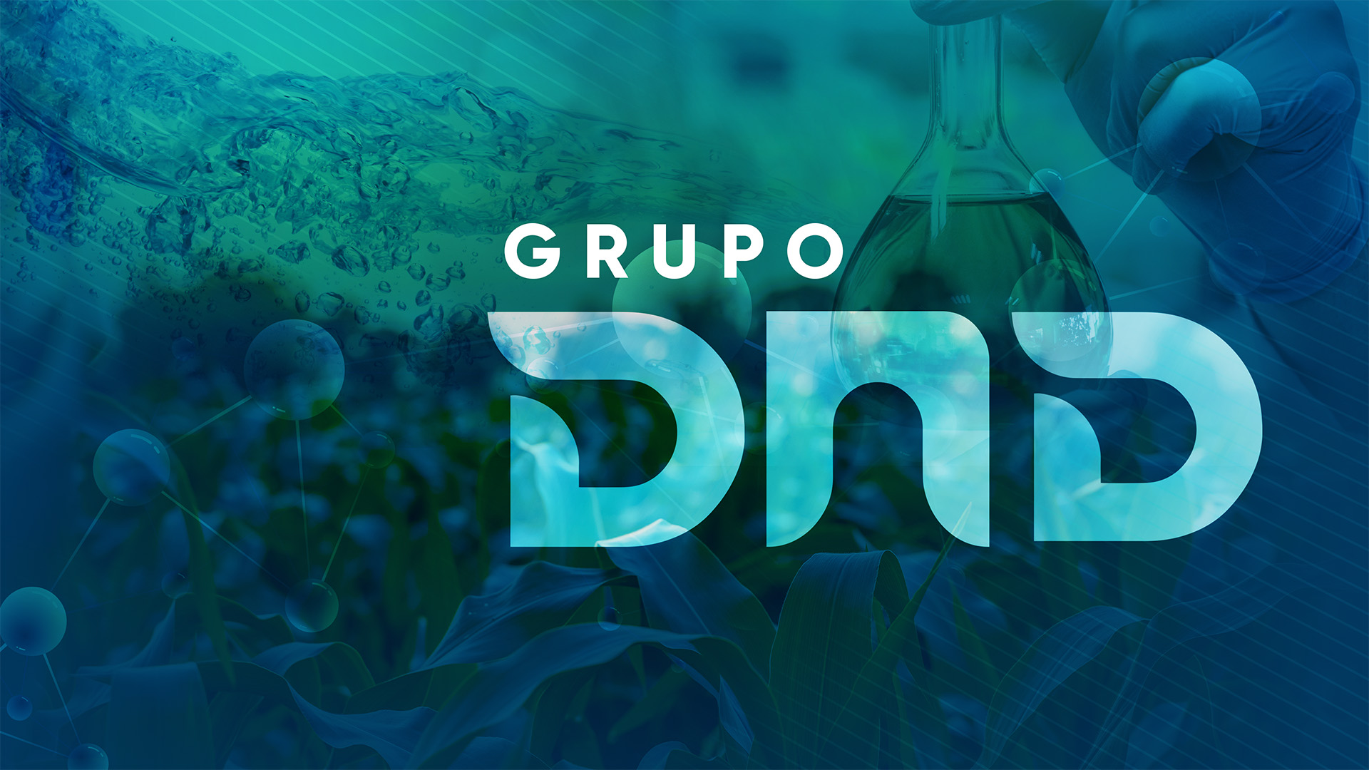 Grupo DND